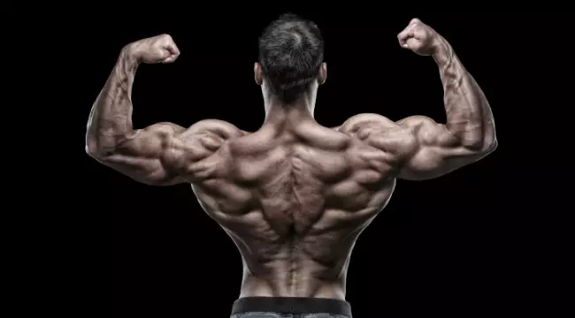 I-Ultimate Lat Workout ye-Big Back