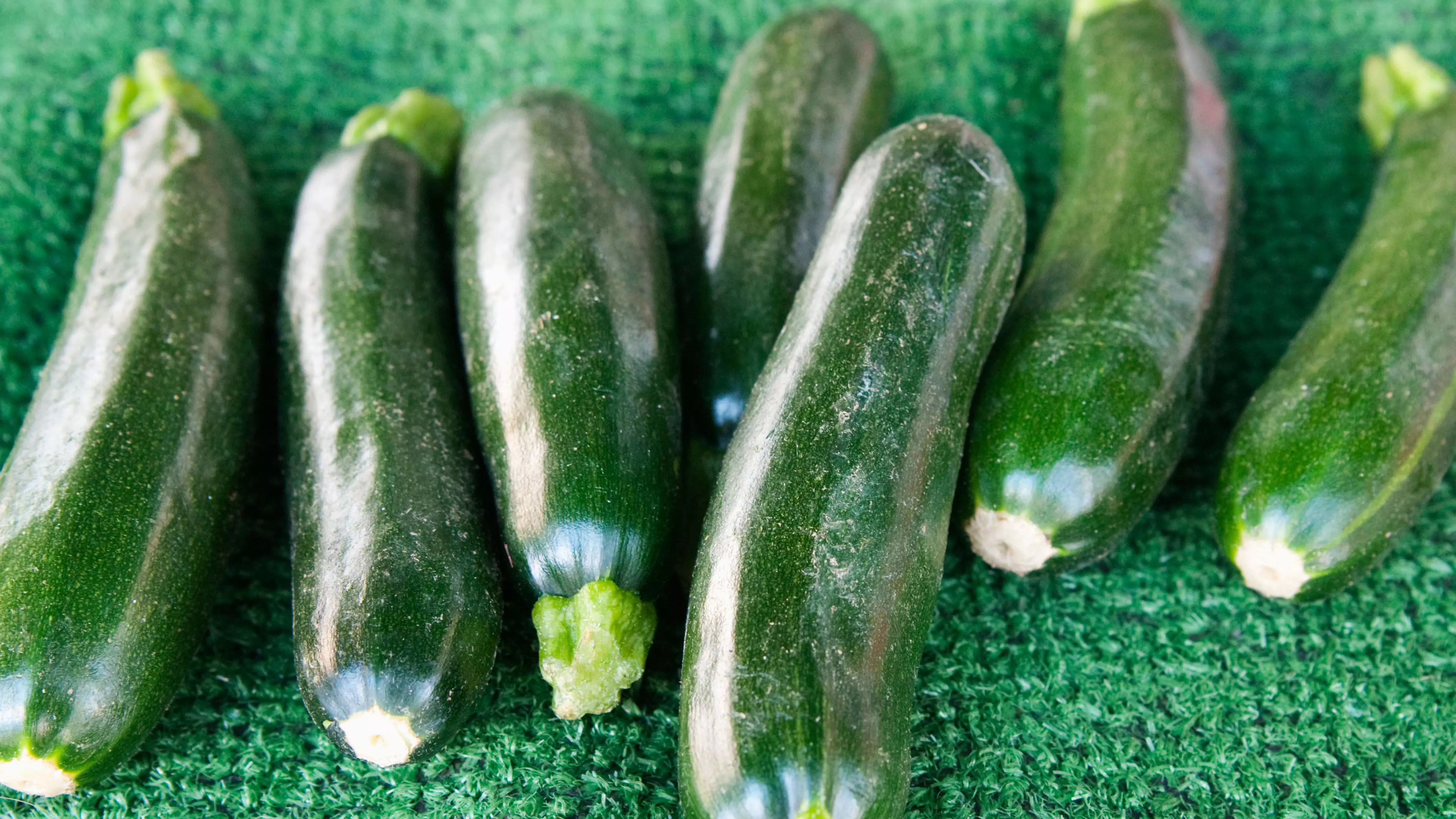 Raw Zucchini Pesto Pasta