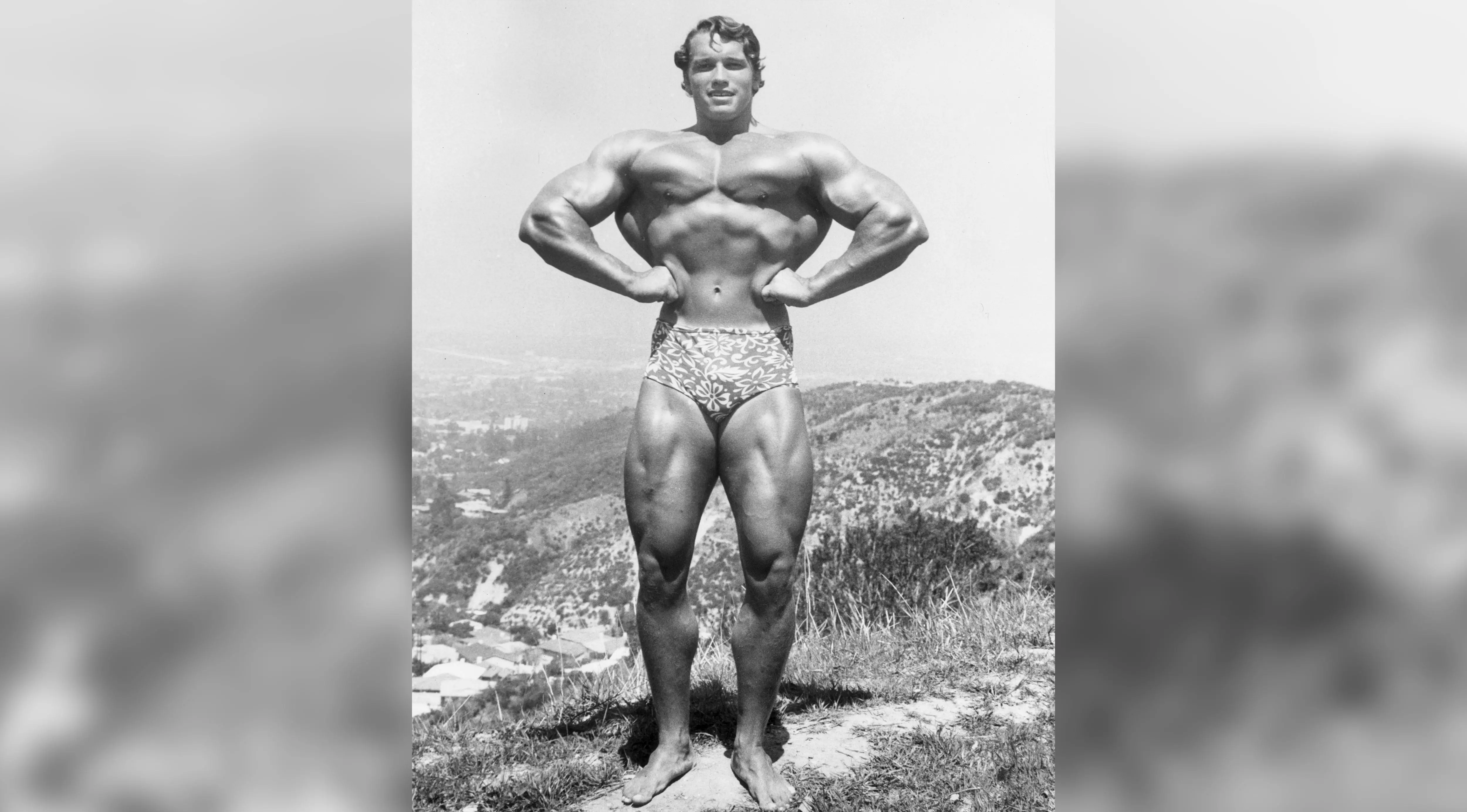 Arnold Schwarzenegger