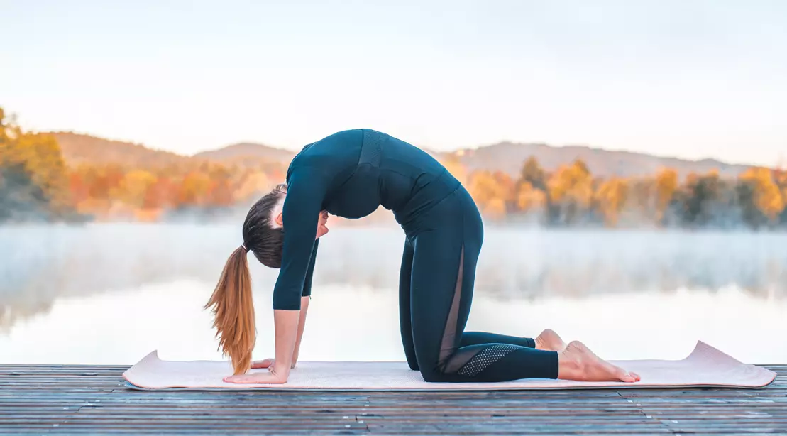 Back-Cat-Cow-Yoga-Pose