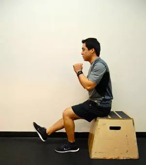 Squat b'Single Leg to Box