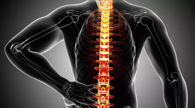 Erros de adestramento da columna vertebral 2