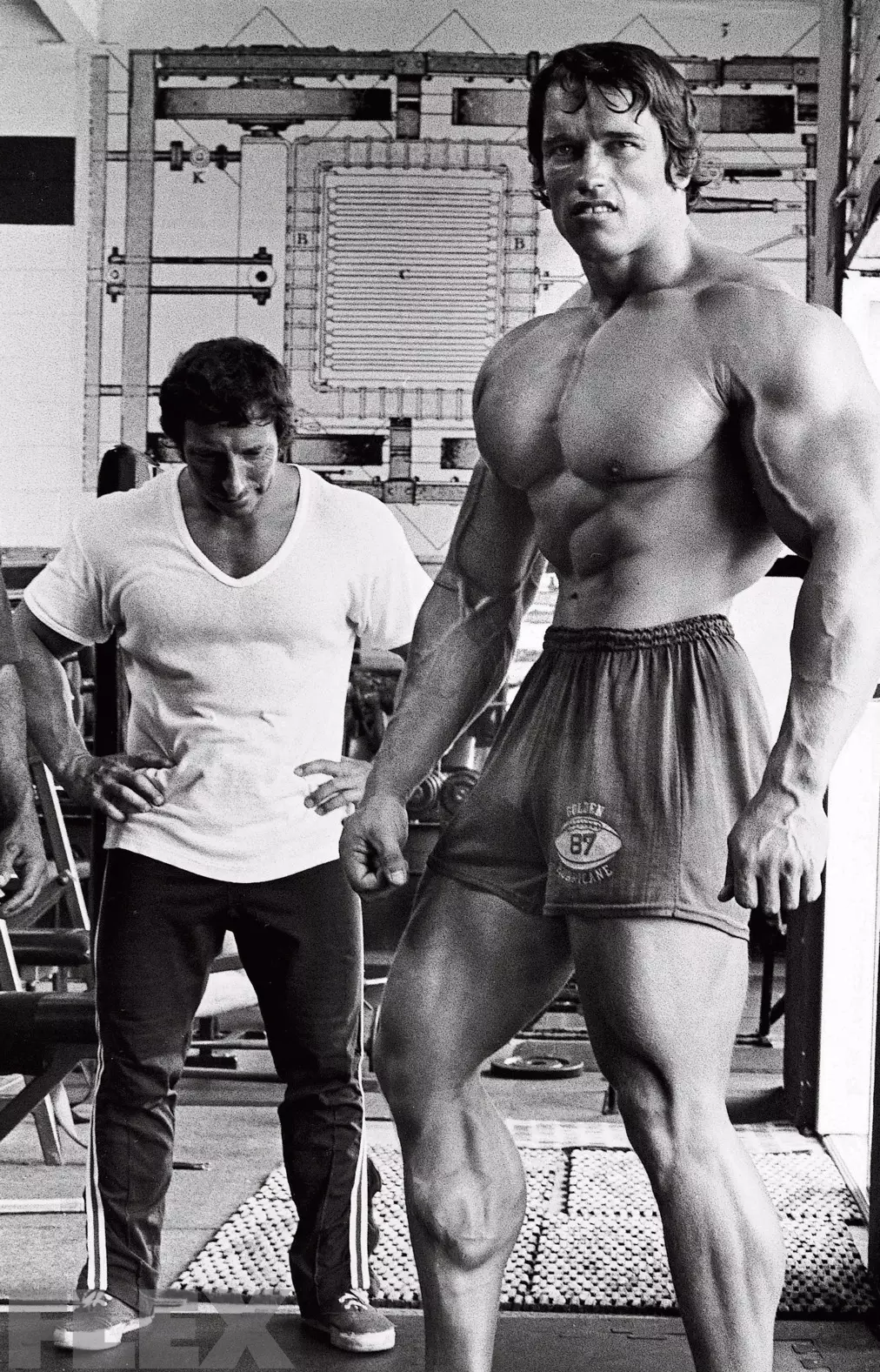 Arnold