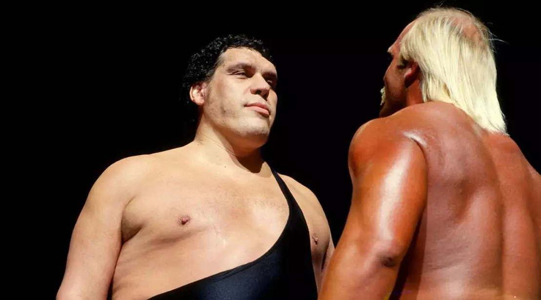 Junk Hogan ug Andre the Giant