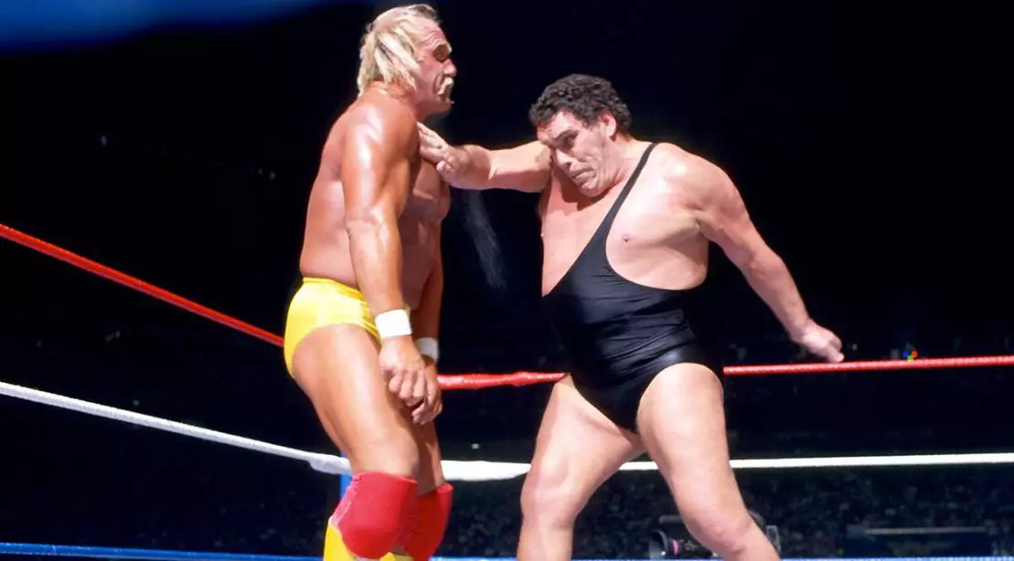 1109 hulk hogan εναντίον andre the giant wm3