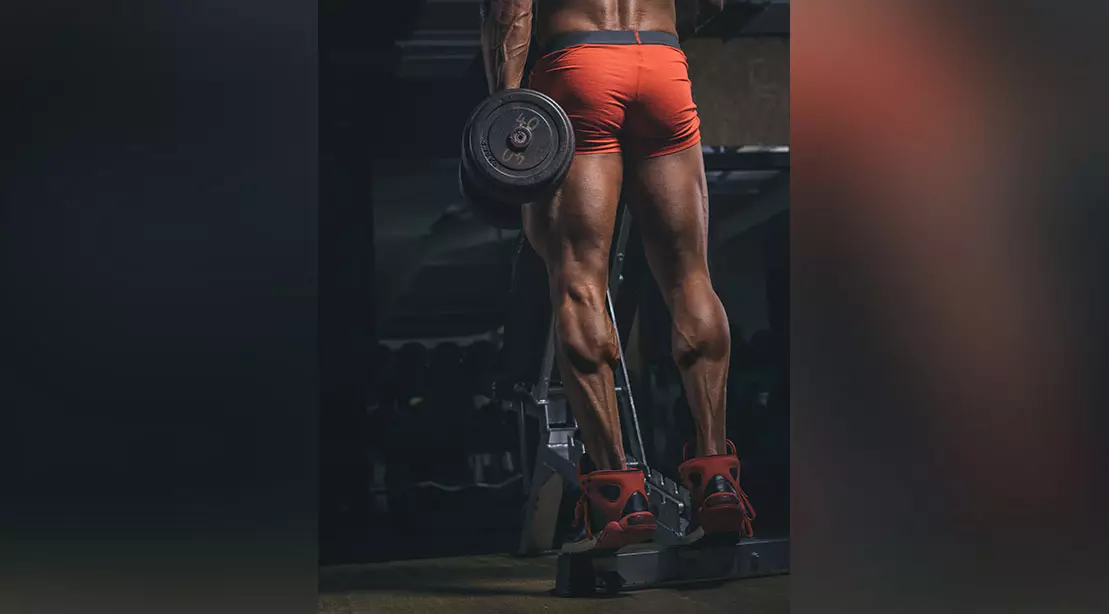 Calves Muscular Body Building