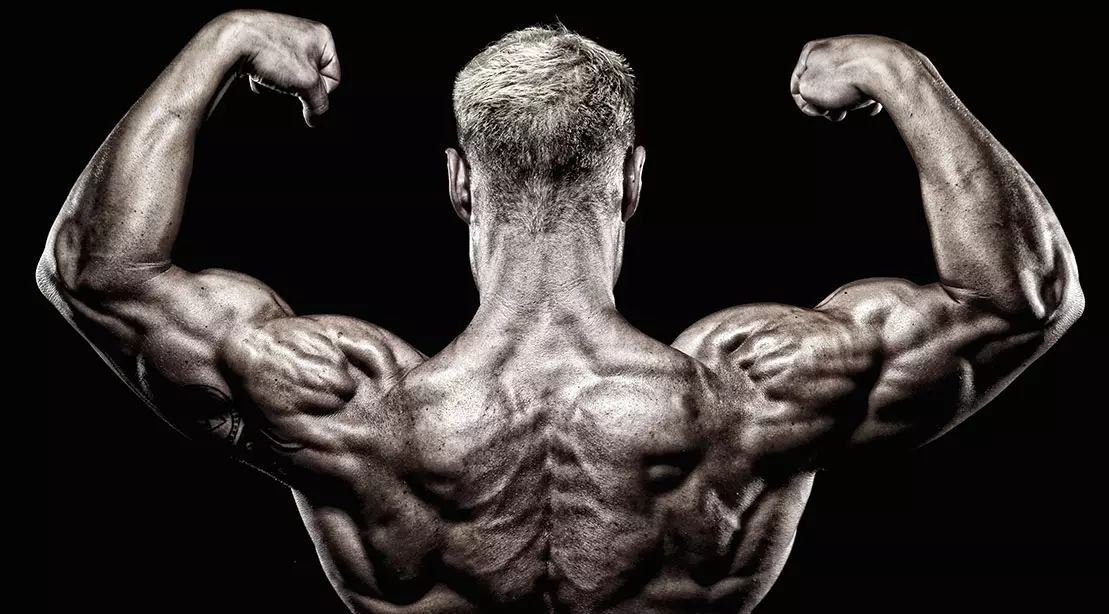 10 Anatomie-Fakten, die jeder Bodybuilder kennen sollte