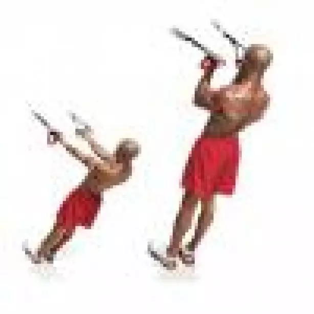 30 beste armoefeninge biceps curl