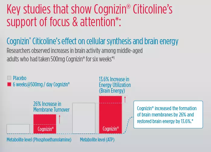 Cognizin Chart 2