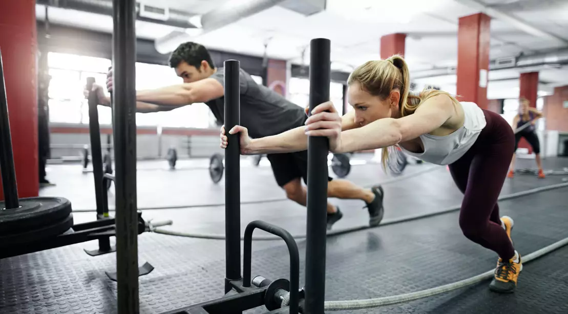 Sled Push-en alternatiba onenak